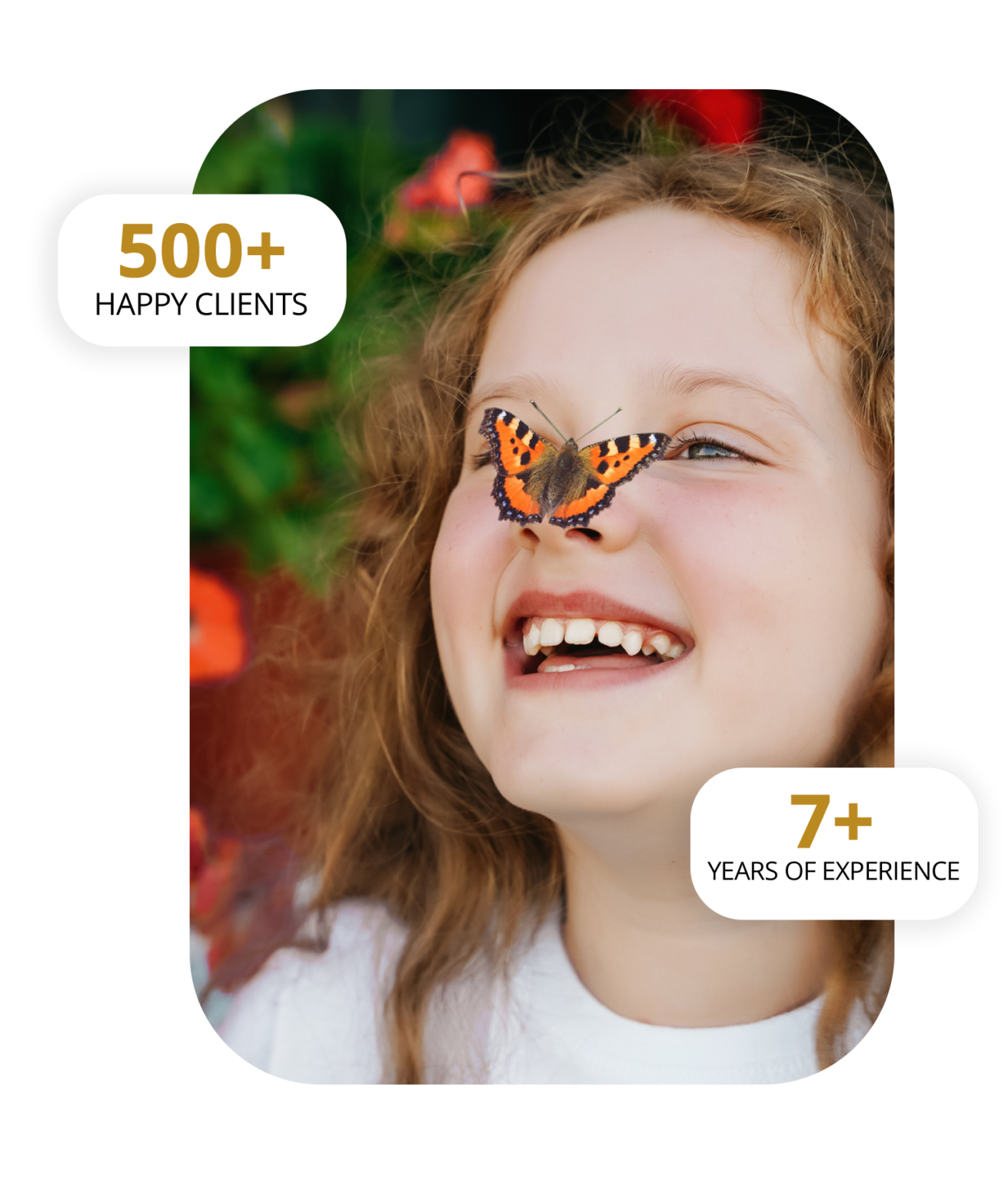 🦋 Monarch Butterfly Tours from Mexico City | México Underground