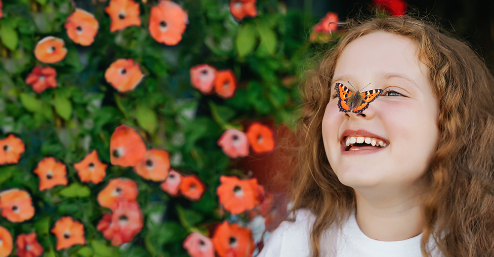 🦋 Monarch Butterfly Tours from Mexico City | México Underground